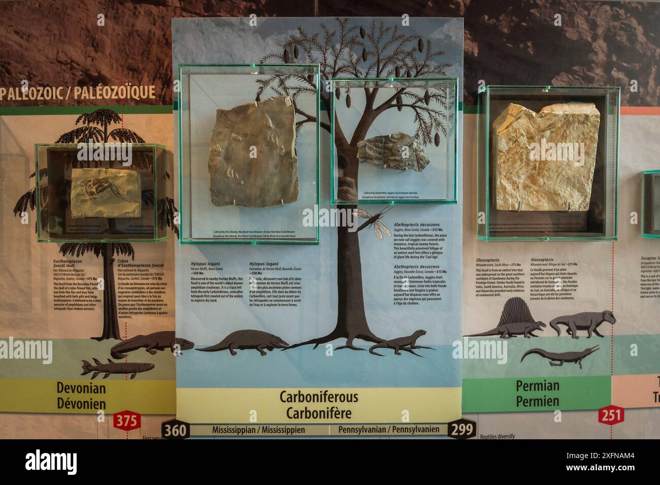 Interpretive Display Inside The Joggins Fossil Cliffs Unesco World