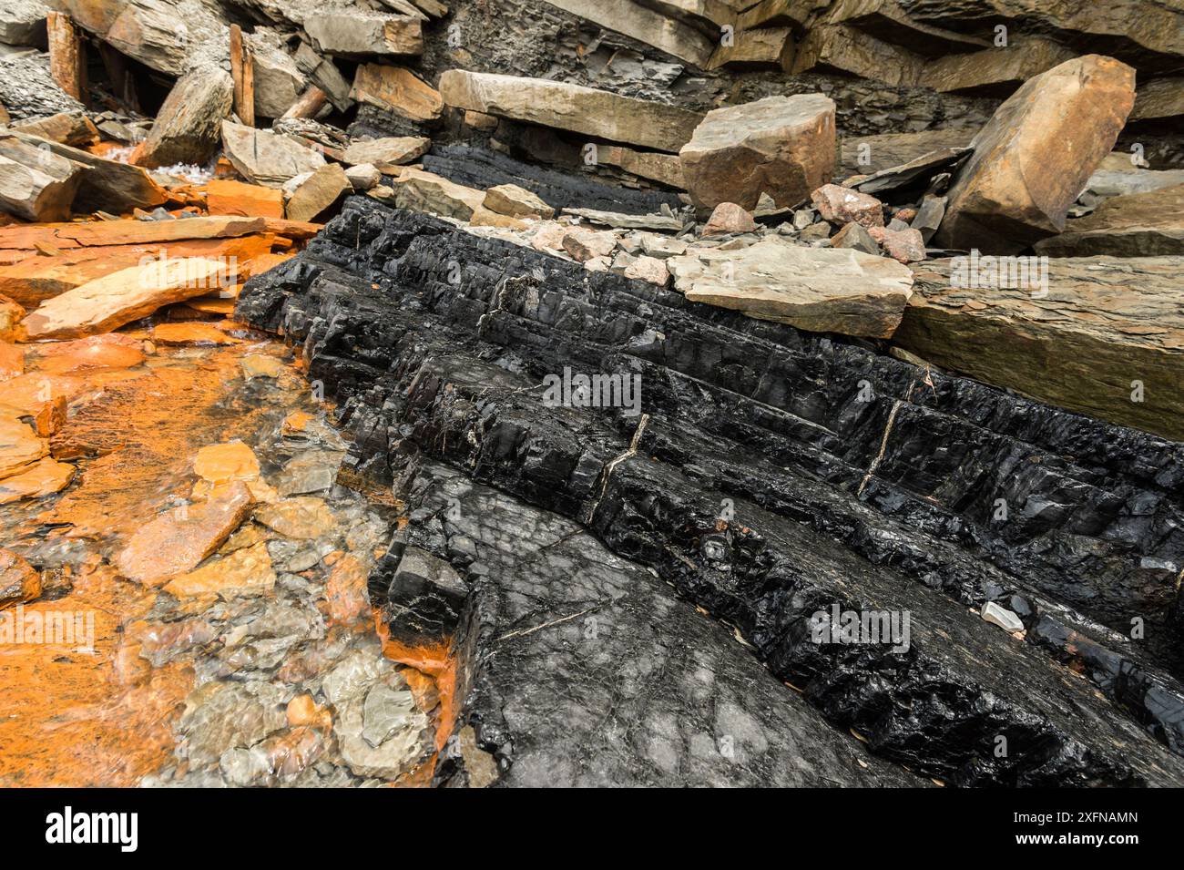 Joggins mine coal hi-res stock photography and images - Alamy