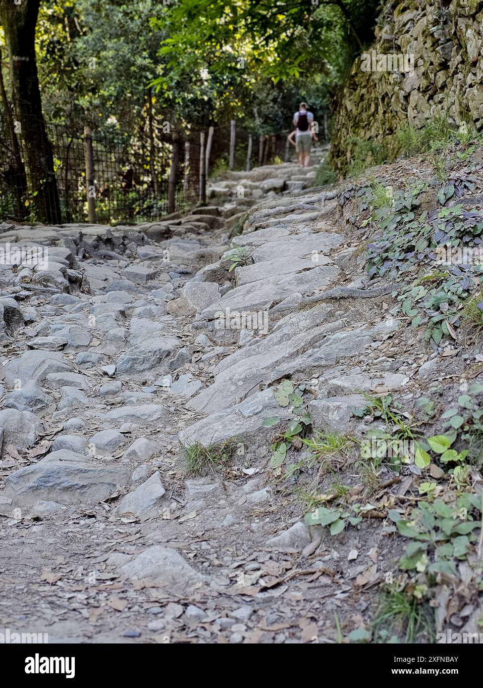 Steep hiking trail from Corniglia to Volastra in Cinque Terre. Tourists ...