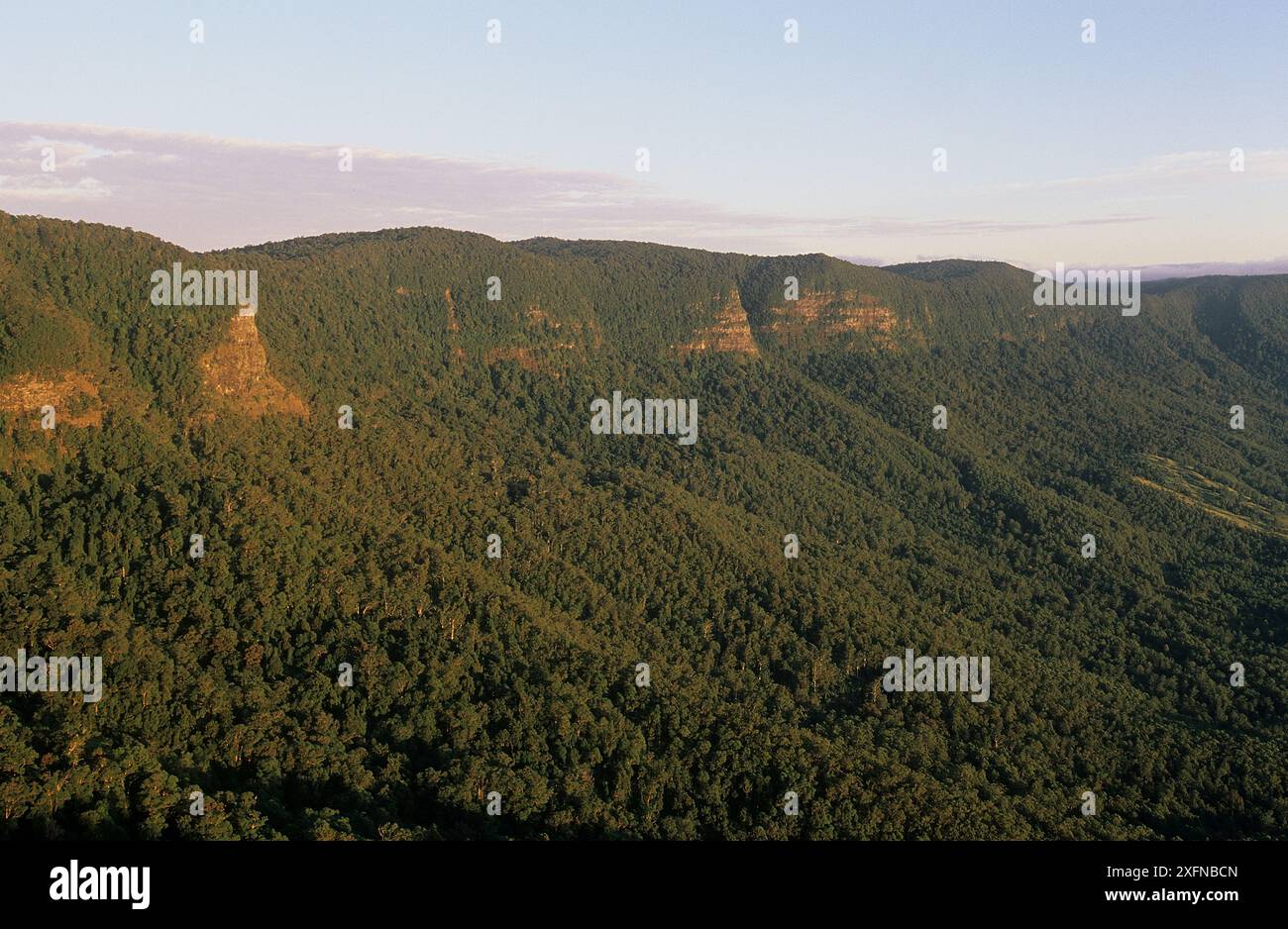 The rim of the ancient volcanic crater, Border Ranges National Park ...