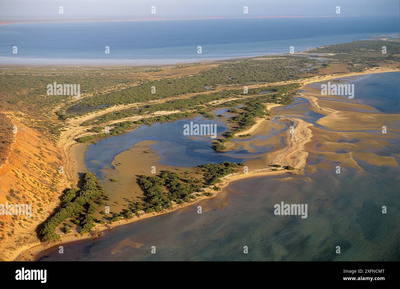 Guichenault Point at Herald Bight with mangroves, Francois Peron ...