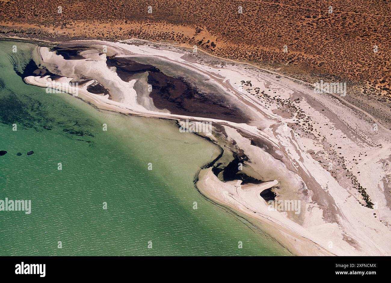 Aerial view of Faure Island with mangrove trees in shallows, Shark Bay ...