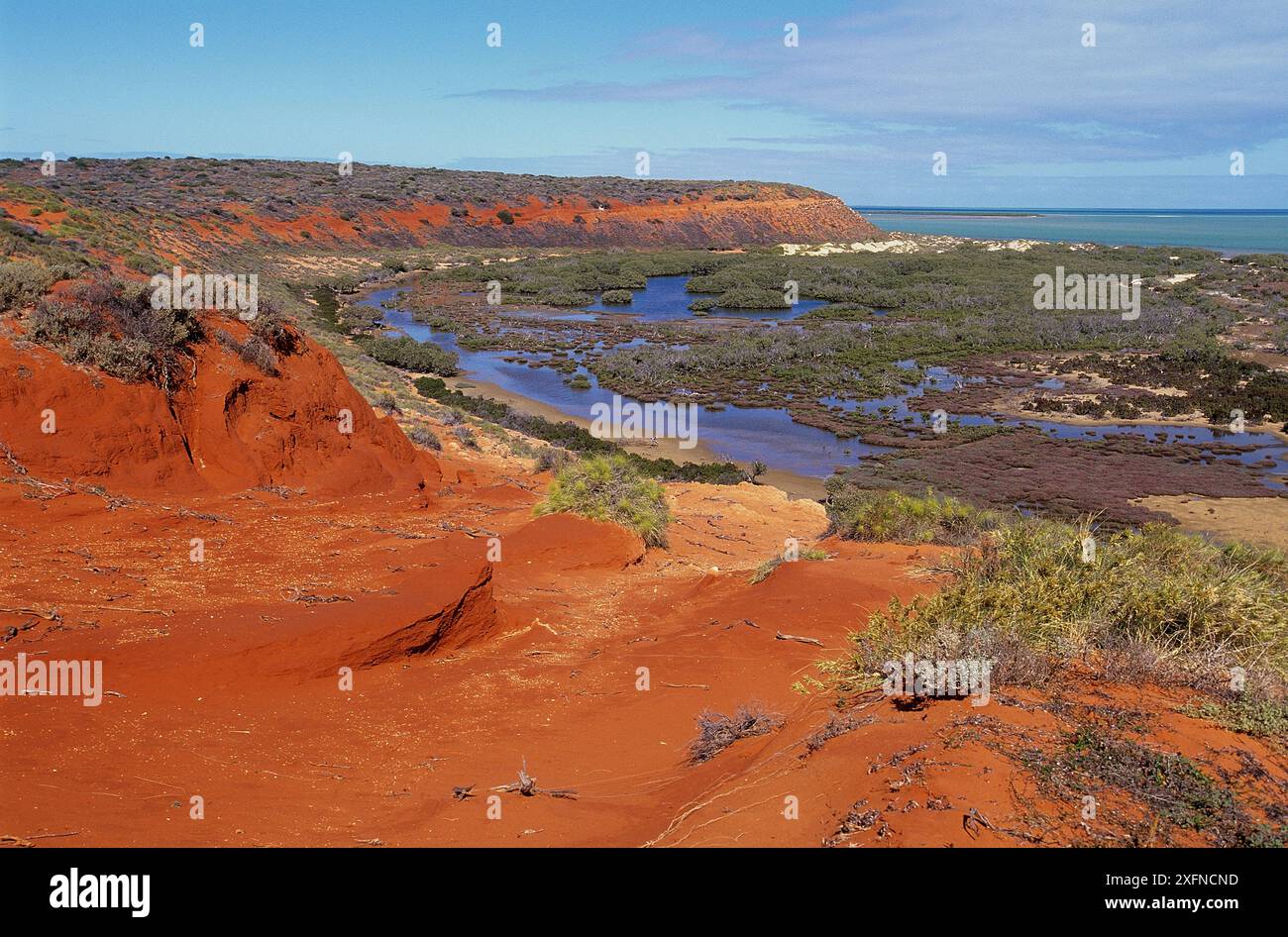 Faure Island with mangrove shallows, Shark Bay UNESCO Natural World ...