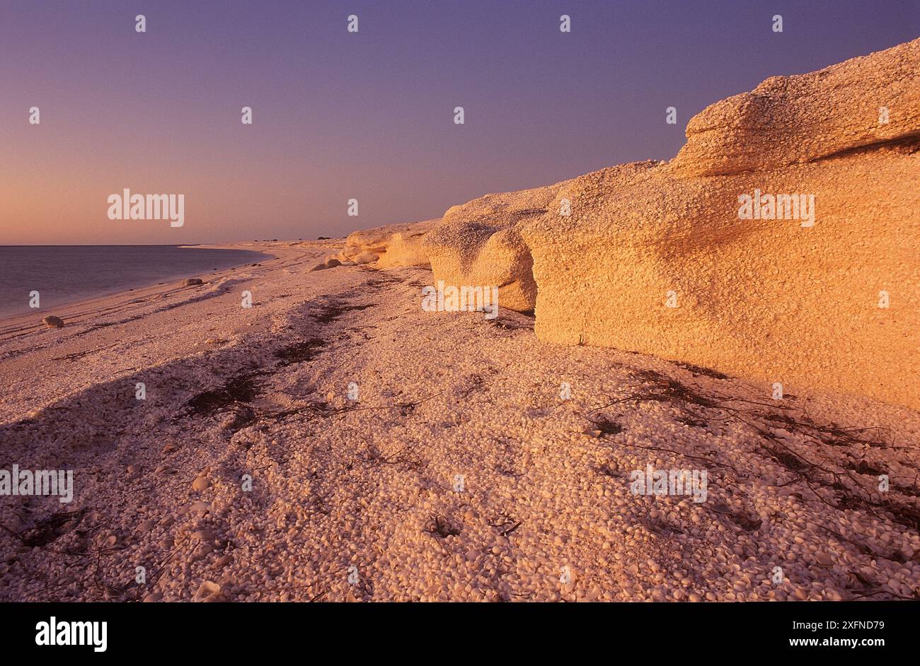 Shell Beach, Shark Bay UNESCO Natural World Heritage Site, Western ...