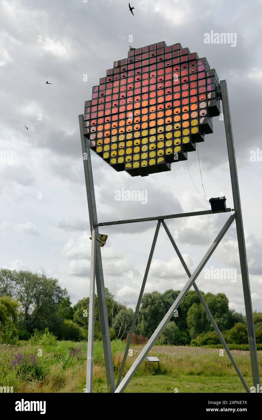 Swift tower with nest boxes for up to 100 pairs of Common swifts (Apus ...