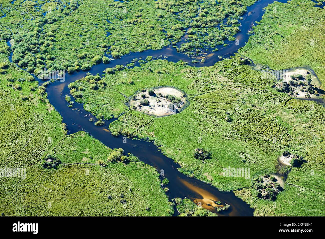 Aerial view of the Okavango delta with channels, lagoons, swamps and ...
