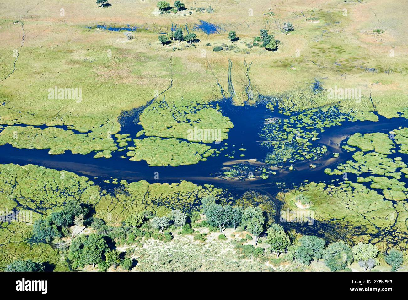 Aerial view of the Okavango delta with channels, lagoons, swamps and ...