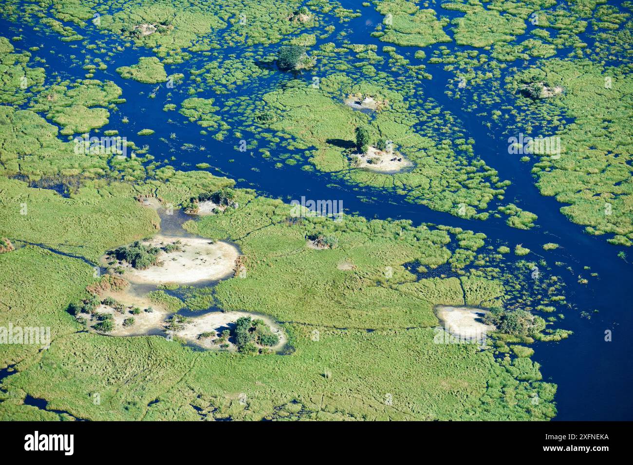 Aerial view of the Okavango delta with channels, lagoons, swamps and ...