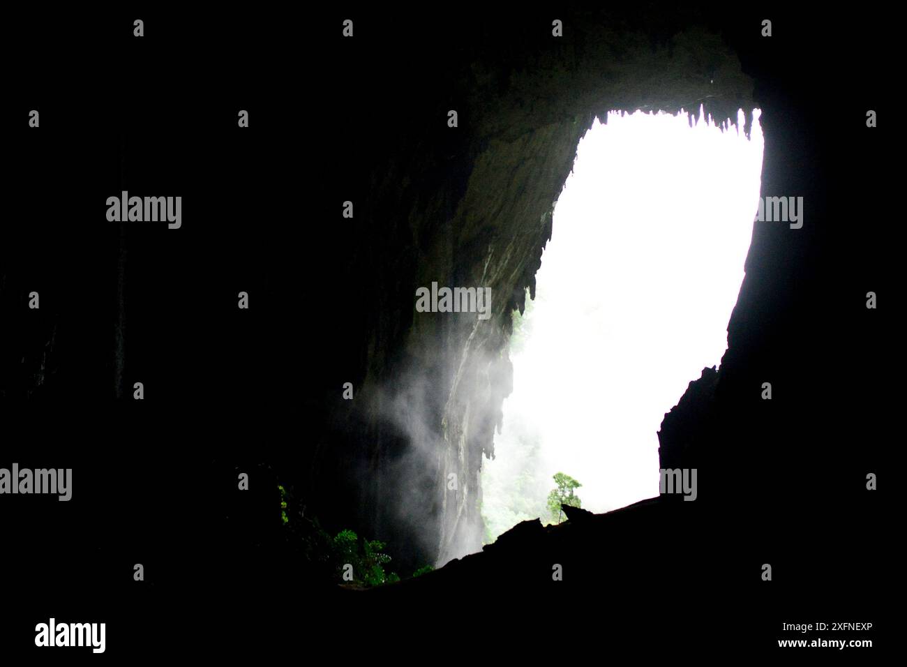 Entrance to the Deer Cave. Gunung Mulu National Park UNESCO Natural ...