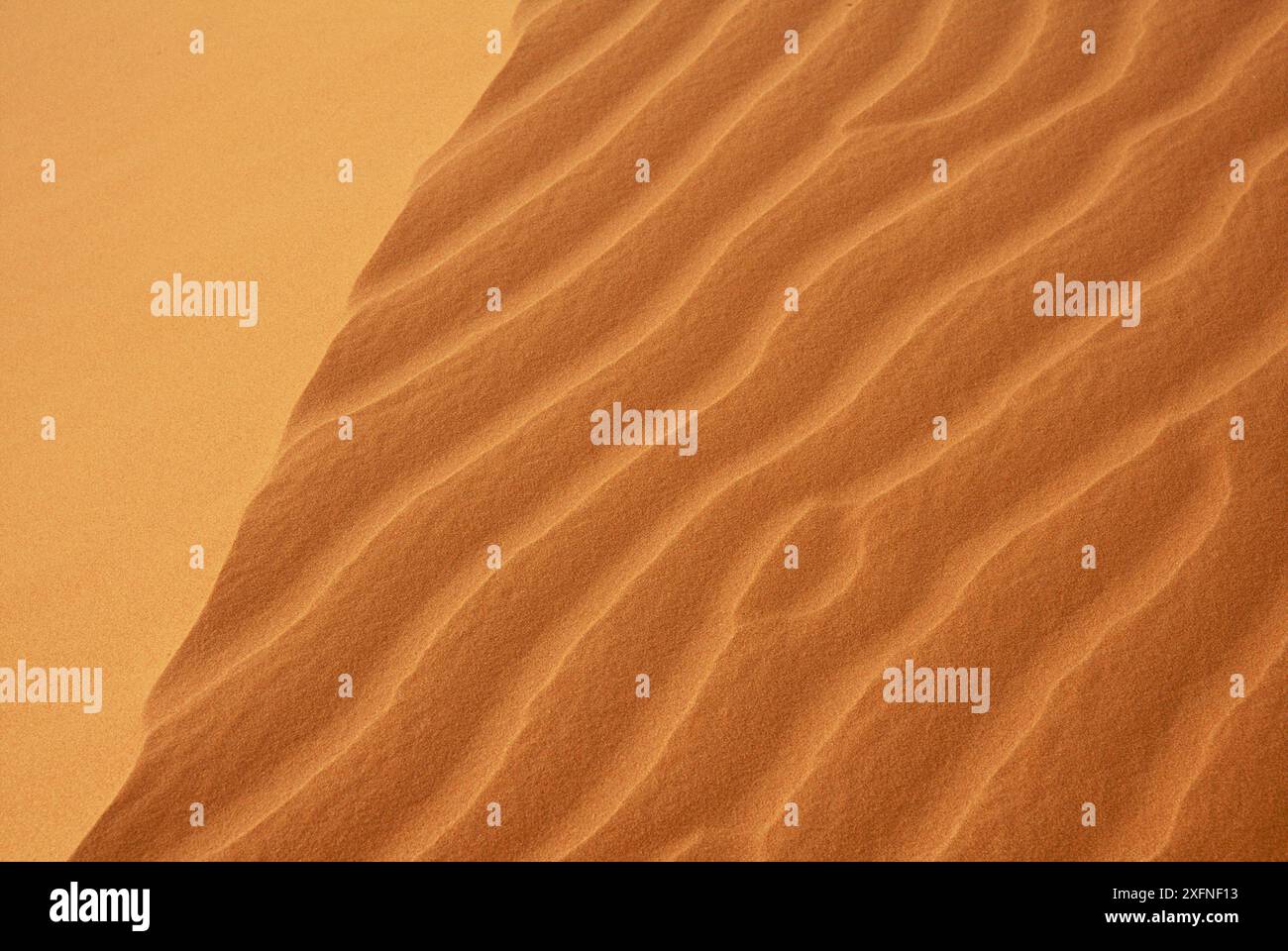 Patterns made by wind in sand dunes, Banc d'Arguin National Park UNESCO ...