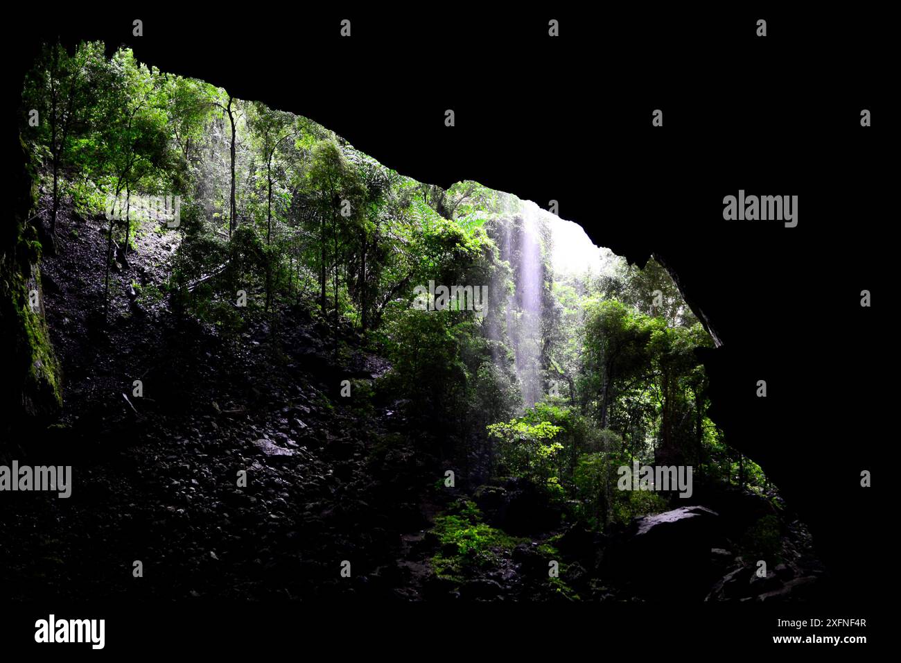 Entrance to the Deer Cave. Gunung Mulu National Park UNESCO Natural ...