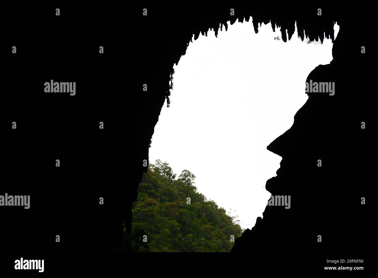 Face shape in the rocks at the entrance to Deer Cave, Gunung Mulu ...