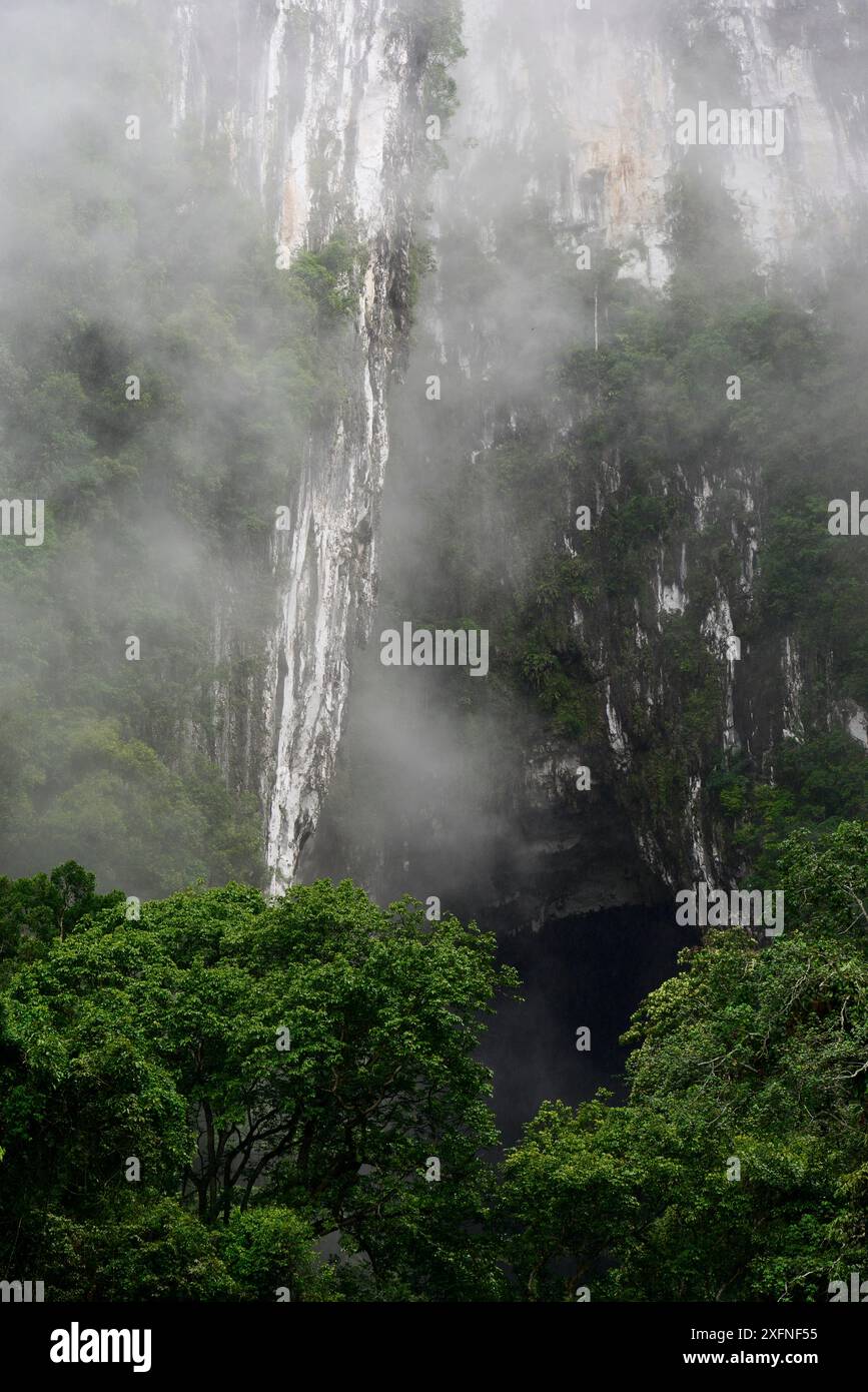 Clouds cover the forest and the limestone walls of the mountains at ...