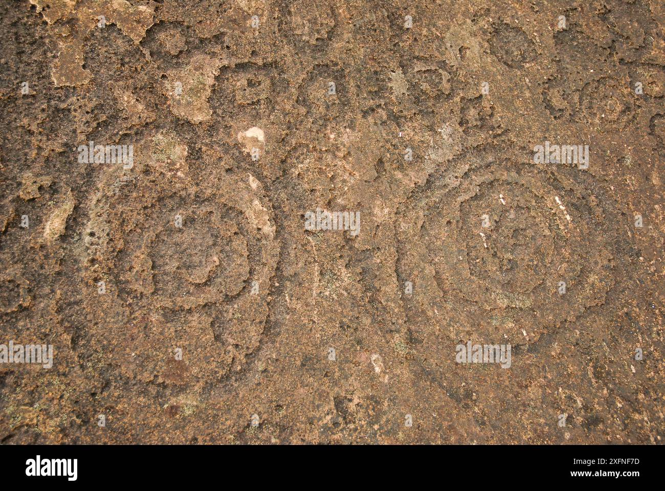 Petroglyphs, neolithic rock art. LopÃ© National Park, Ecosystem and ...
