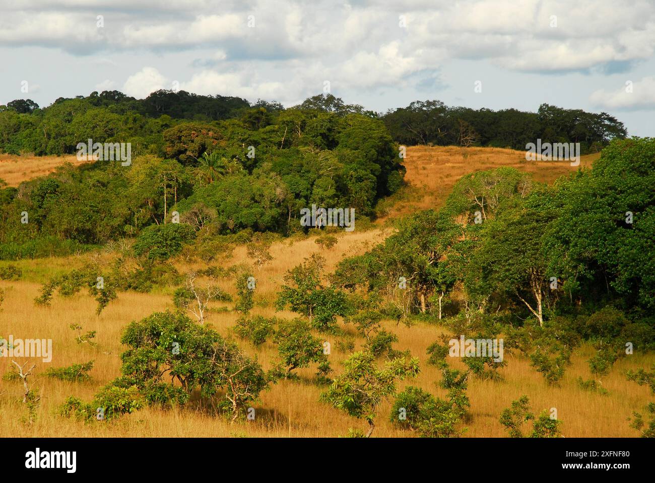 Landscape of LopÃ© National Park, Ecosystem and Relict Cultural ...
