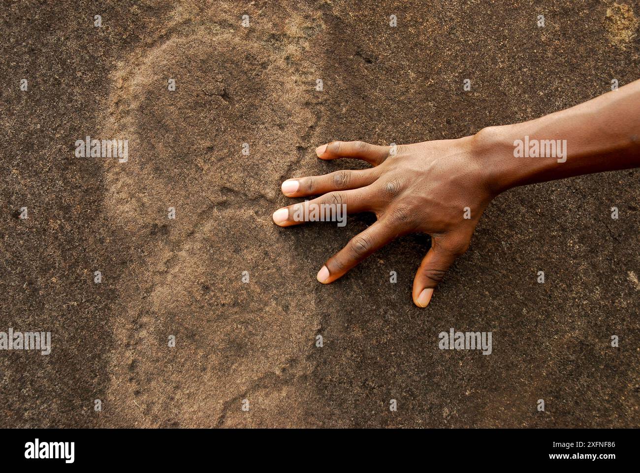 Petroglyphs, neolithic rock art, with man's hand for scale. LopÃ ...