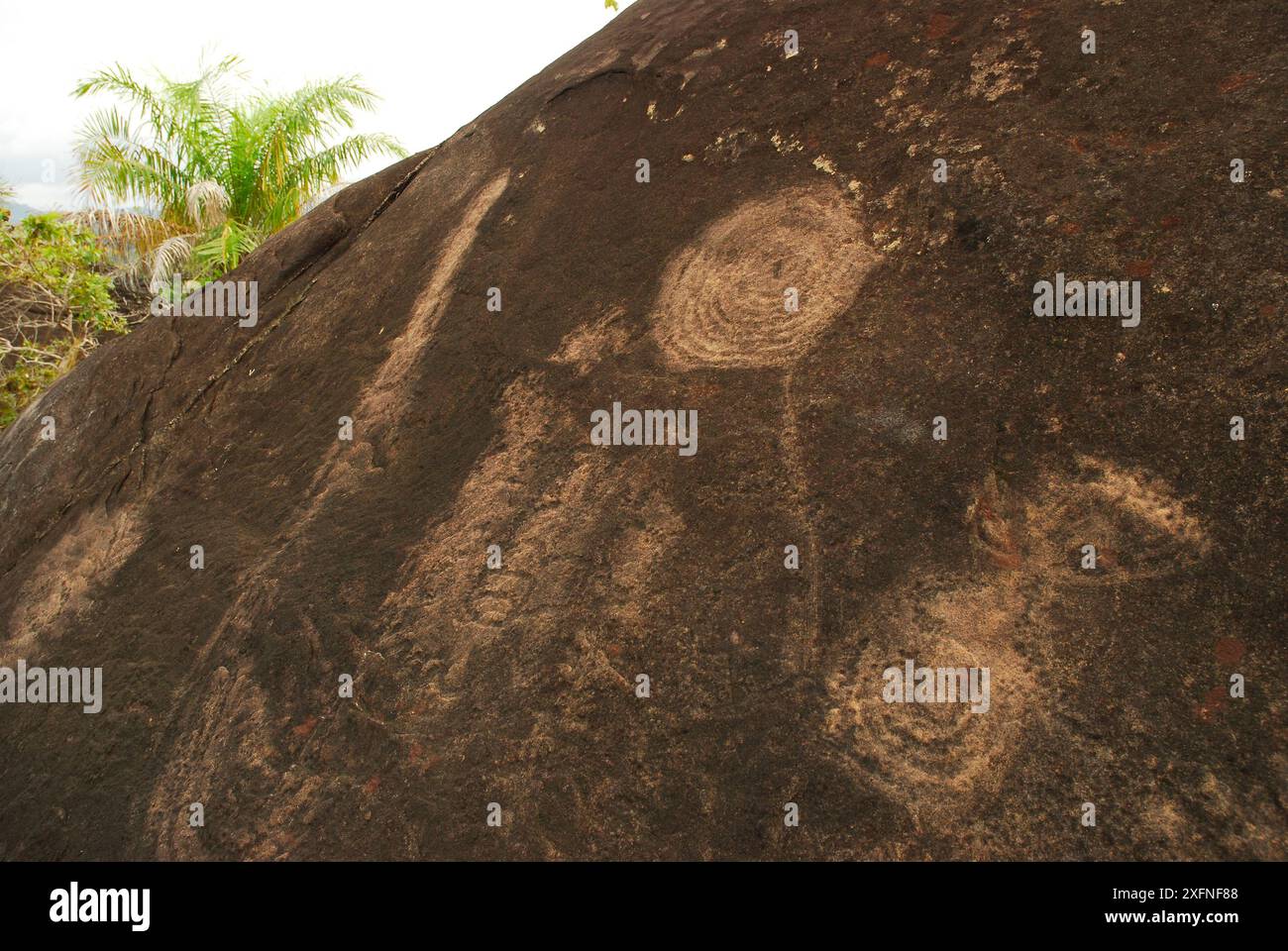 Petroglyphs, neolithic rock art. LopÃ© National Park, Ecosystem and ...