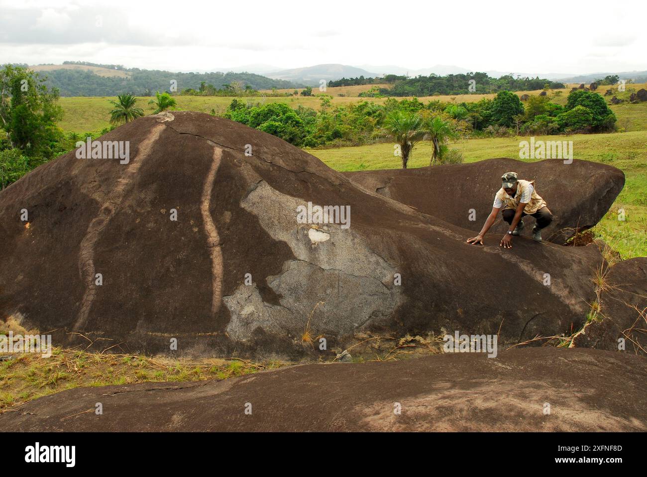 Petroglyphs, neolithic rock art. LopÃ© National Park, Ecosystem and ...