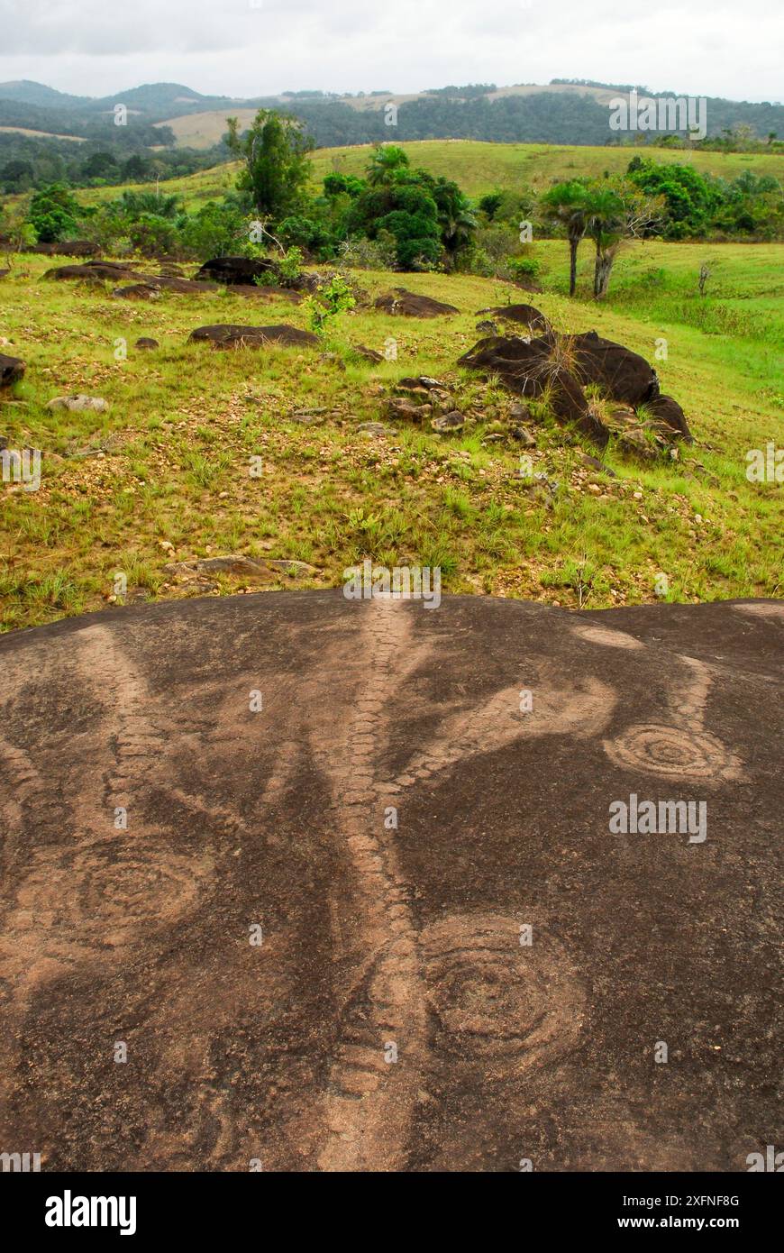 Petroglyphs, neolithic rock art. LopÃ© National Park, Ecosystem and ...