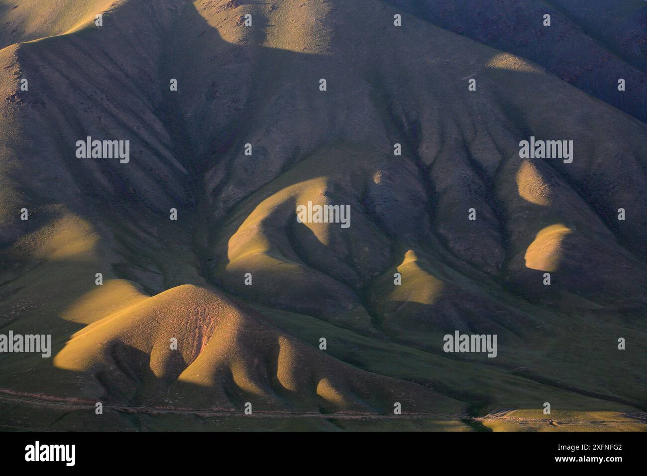 Upland plateau in Inner Tien-Shan region, Western Tien-Shan UNESCO ...