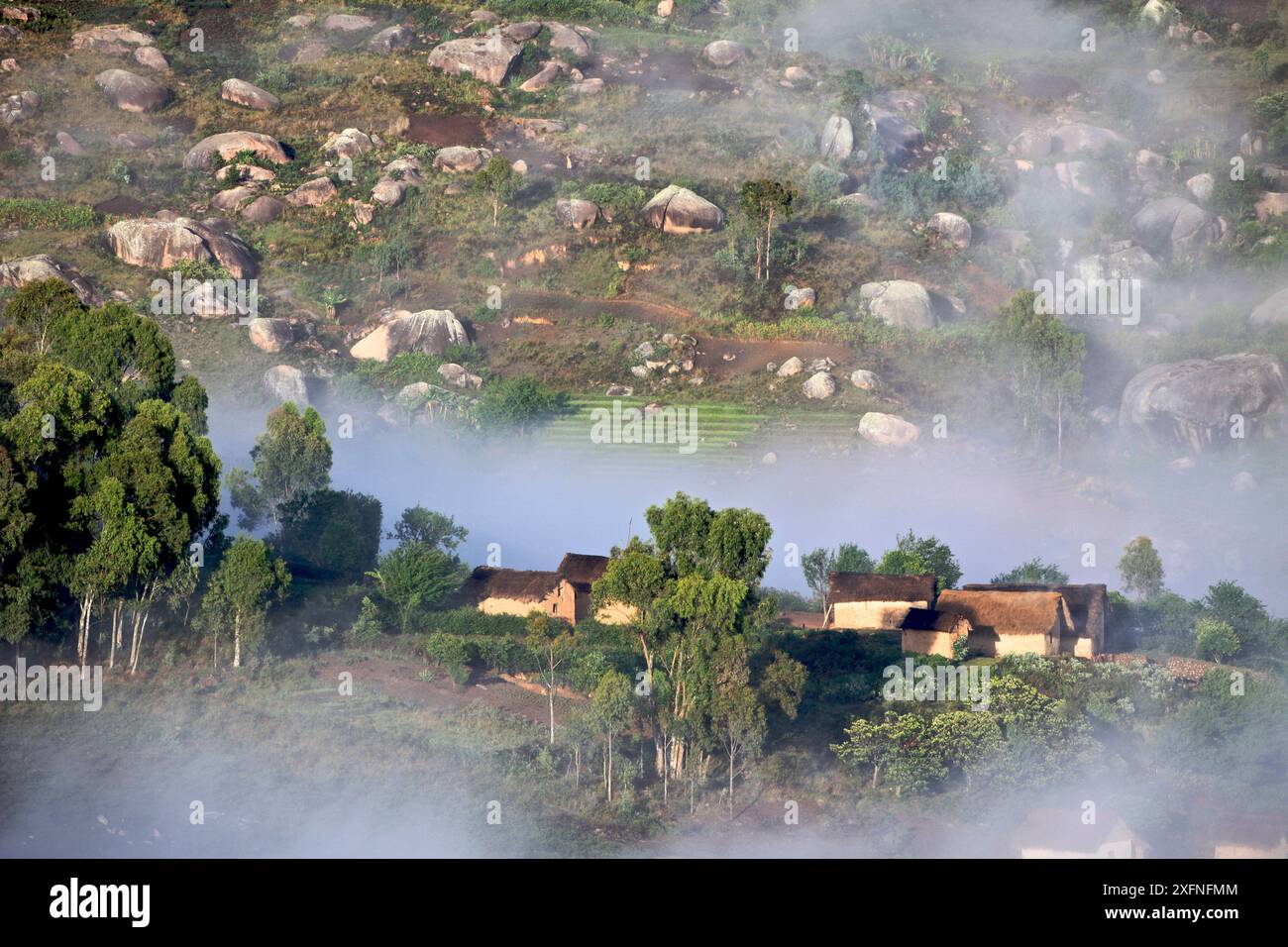 Early morning mist over Rainforests of the Atsinanana UNESCO World ...