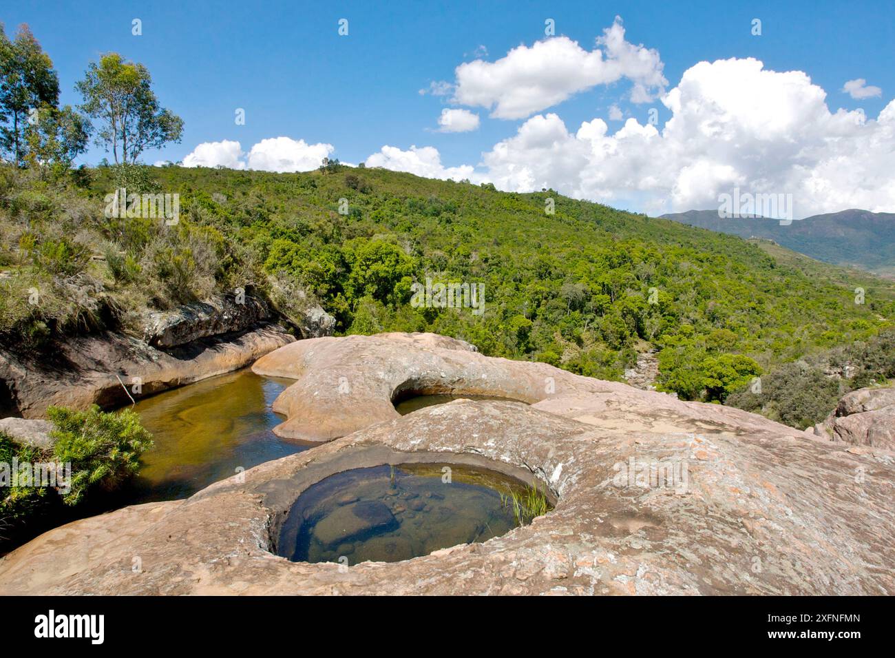 Rainforests of the Atsinanana UNESCO World Heritage Site, Andringitra ...
