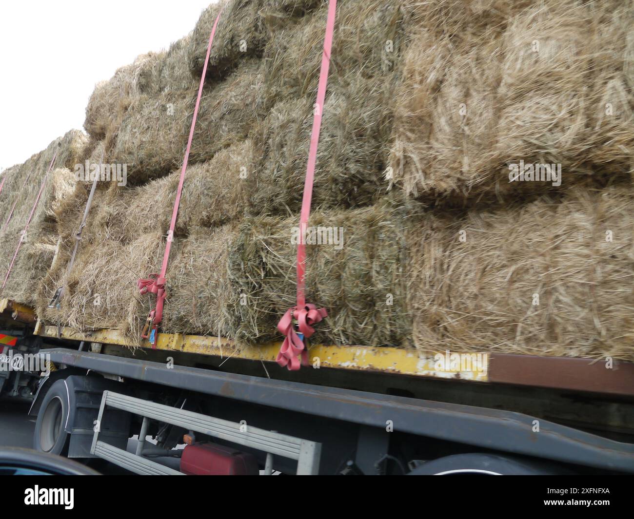 A truck is carrying a load of hay. The hay is stacked high and is tied ...