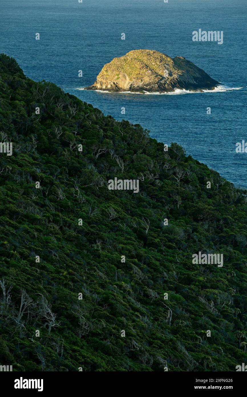 Admiralty Islands from Malabar Hill, Lord Howe island, Lord Howe Island ...