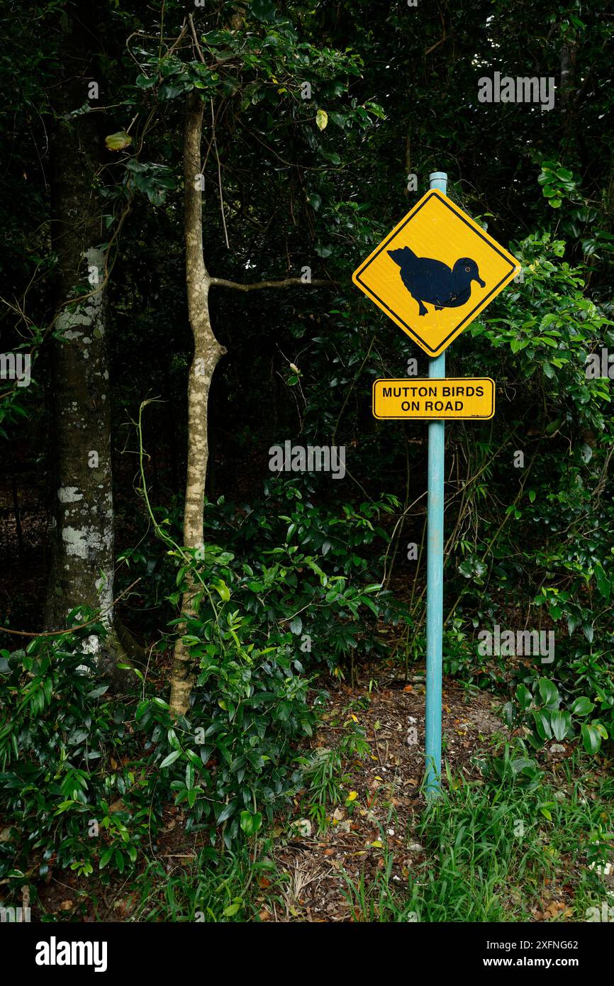 Mutton bird island australia hi-res stock photography and images - Alamy