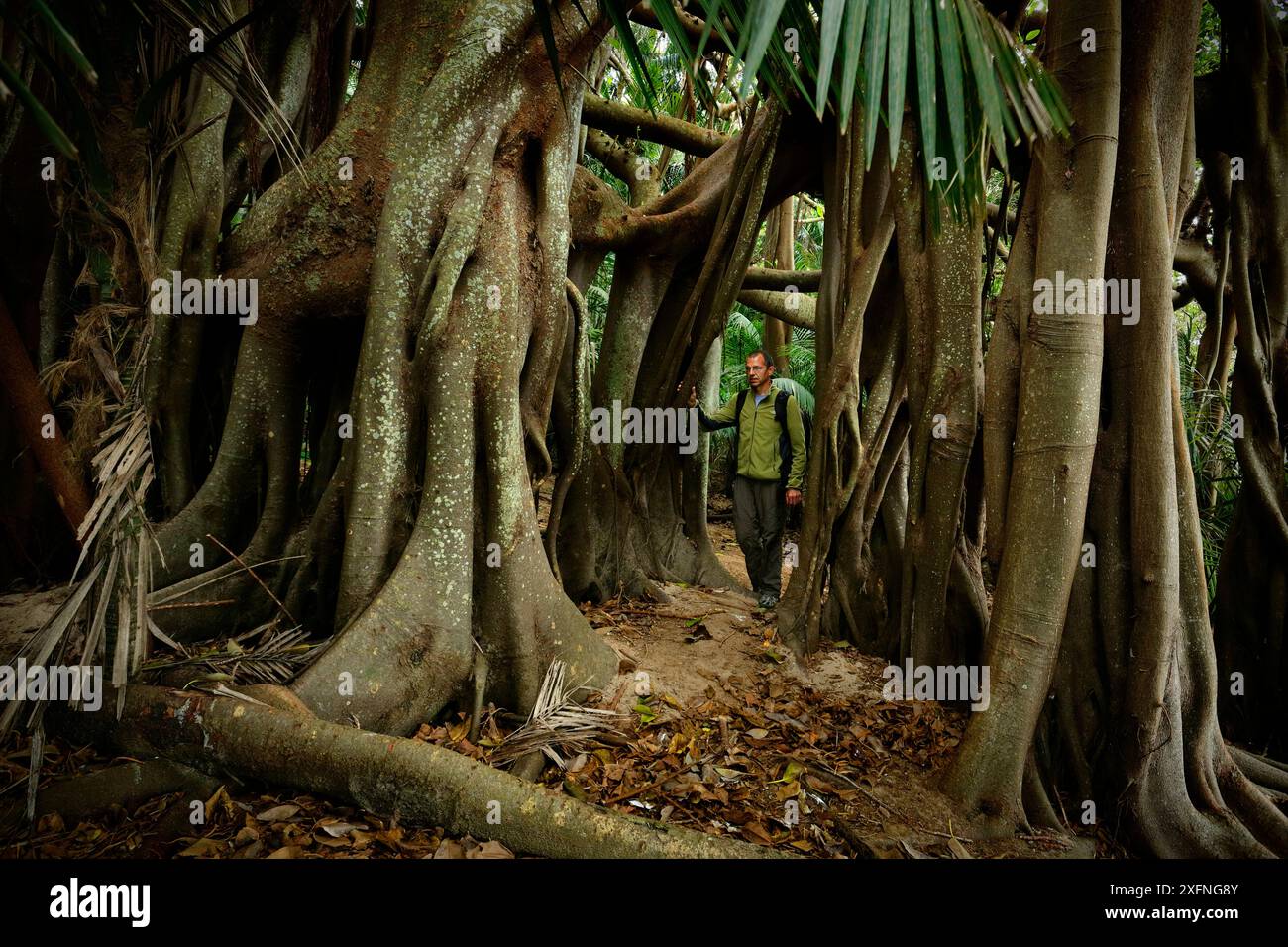 Oriol Alamany in the rainforest on the trail to Valley of the Shadows ...