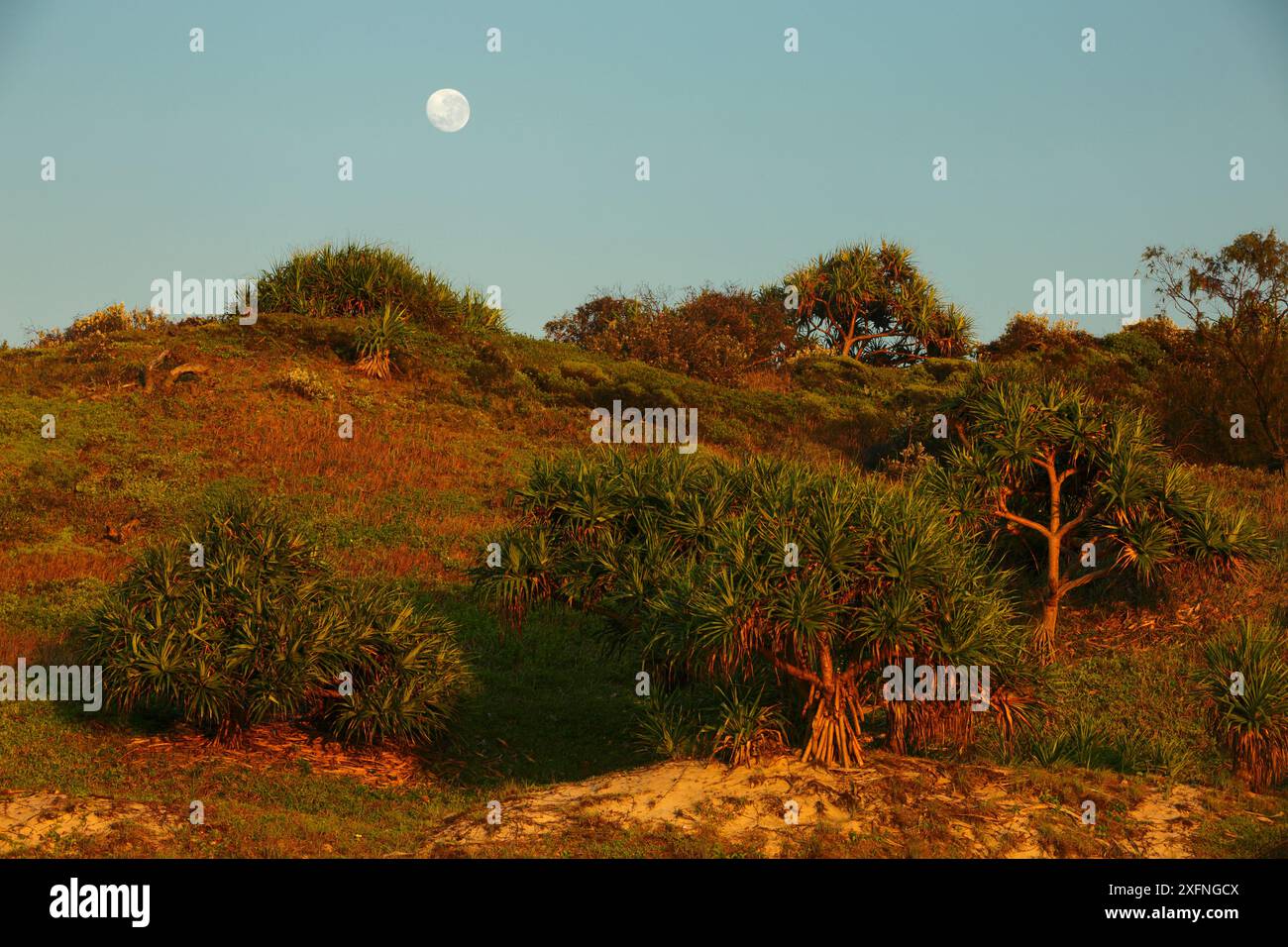 Sunrise at Seventy Five Mile Beach with the Moon, Fraser Island UNESCO ...