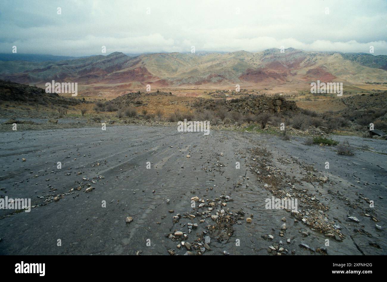 Limestone plateau with about 2500 footprints of dinosaurs from about ...