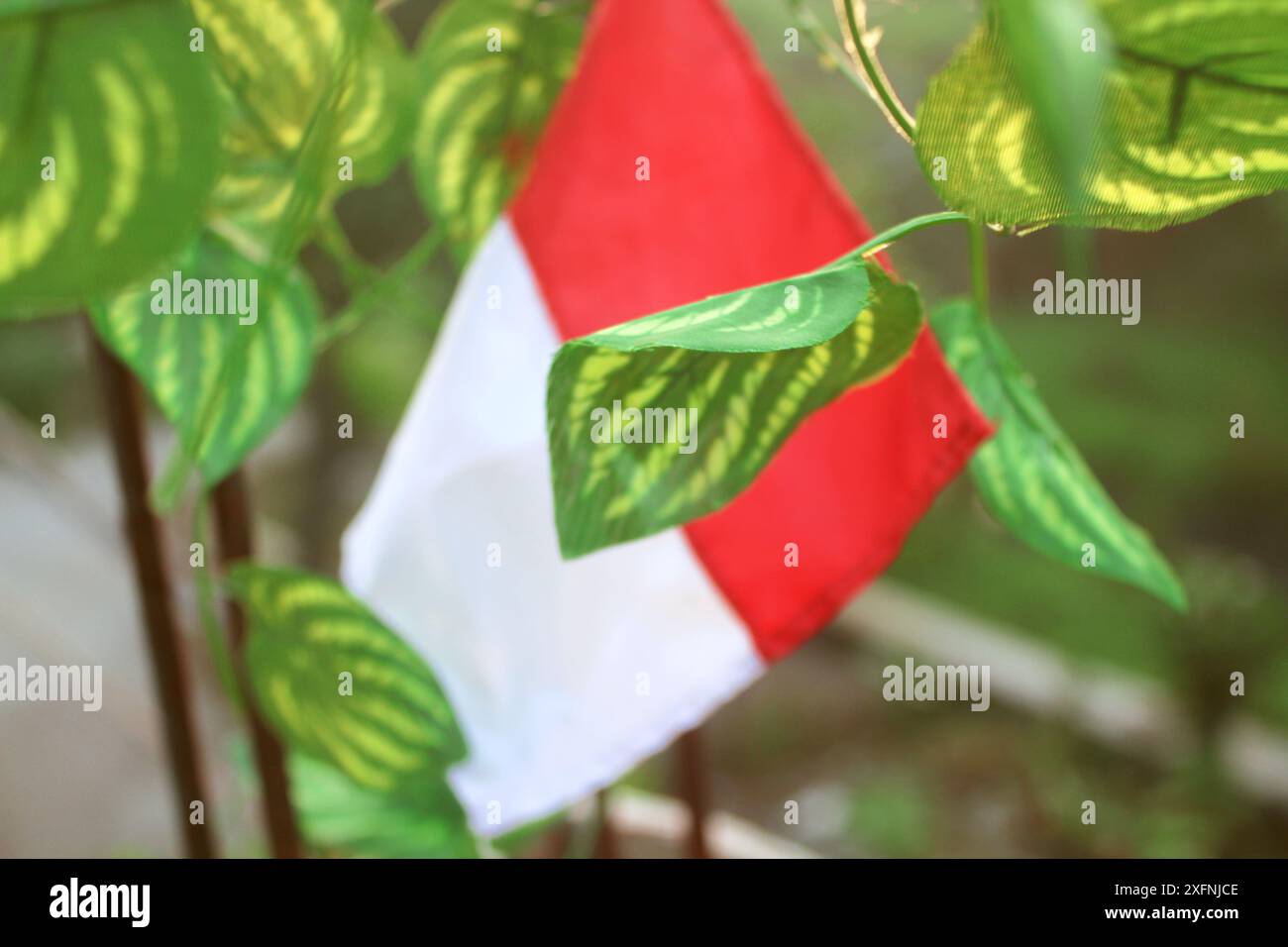 The Indonesian flag tied to the iron spokes along with the leaves ...