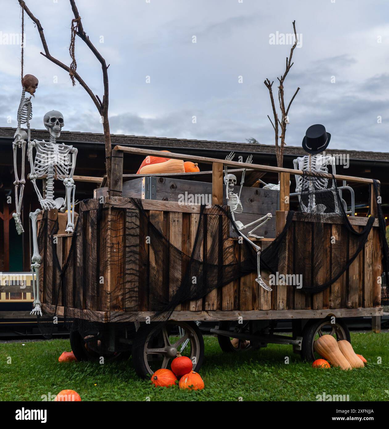 White human skeleton on wooden carriage with pumpkins. Halloween ...