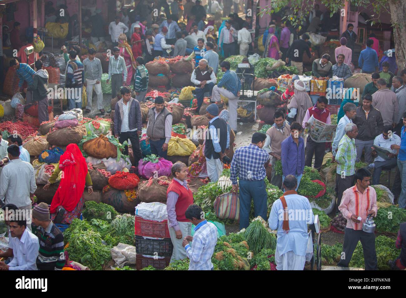 Fruit and vegetable market in the Old City, Jaipur, Rajasthan, India ...