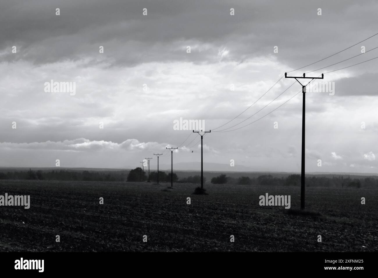 This black and white photograph captures a series of power lines ...