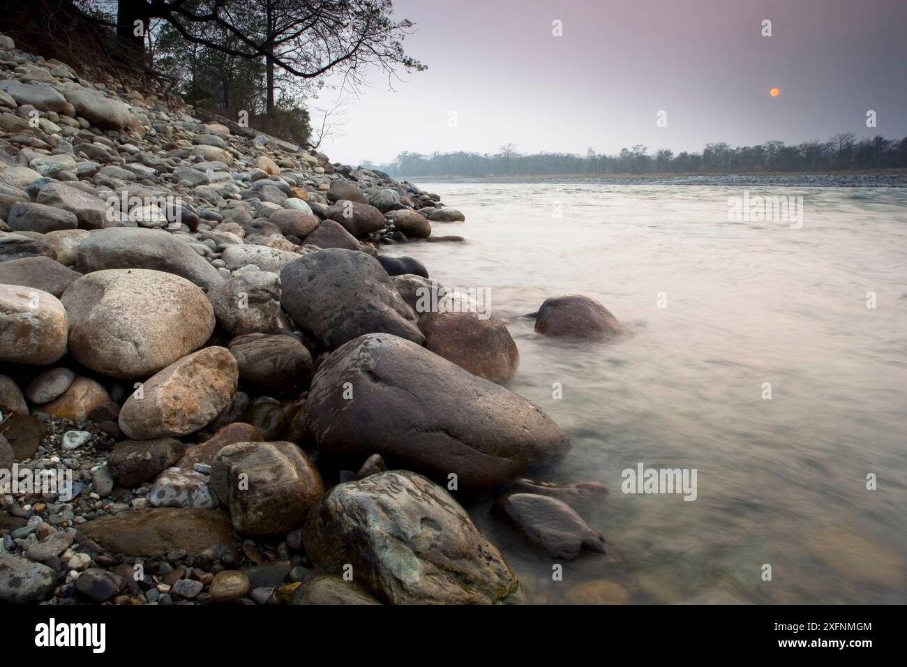 Pebbles on the shore of river, Manas National Park UNESCO World ...