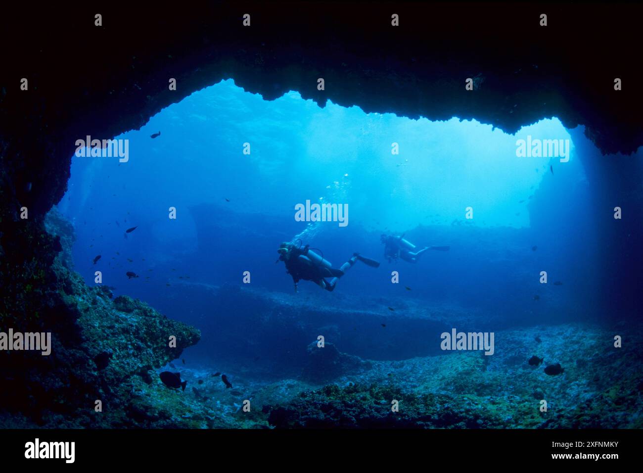 Underwater entrance of cave diver hi-res stock photography and images ...