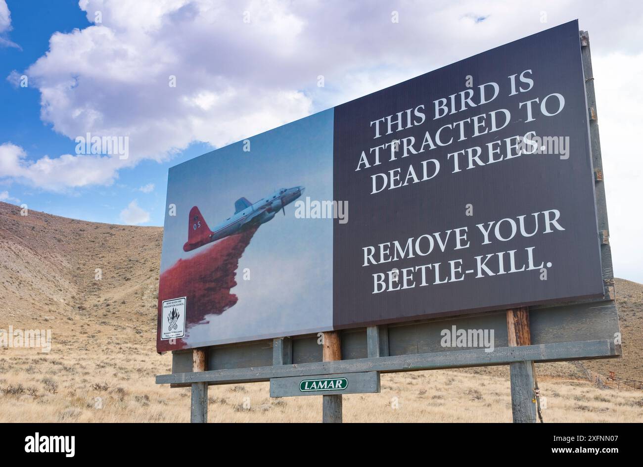 Warning sign to cut down trees killed by Mountain pine beetle ...