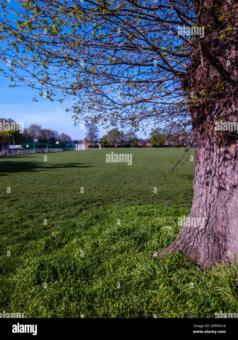 Godalming town, Surrey, England. Town in the Surrey Hills home to ...