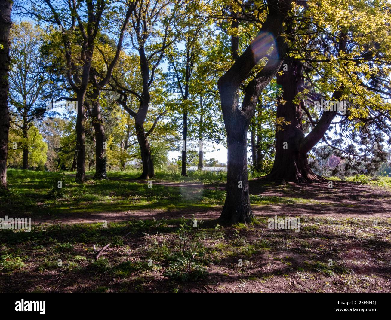 Godalming town, Surrey, England. Town in the Surrey Hills home to ...