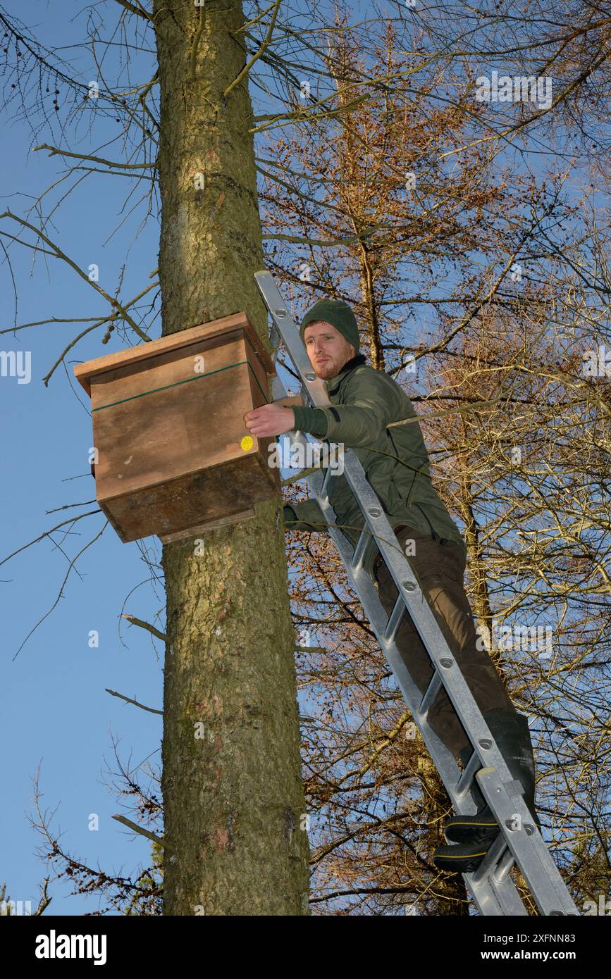 Positioning ladder hi-res stock photography and images - Alamy