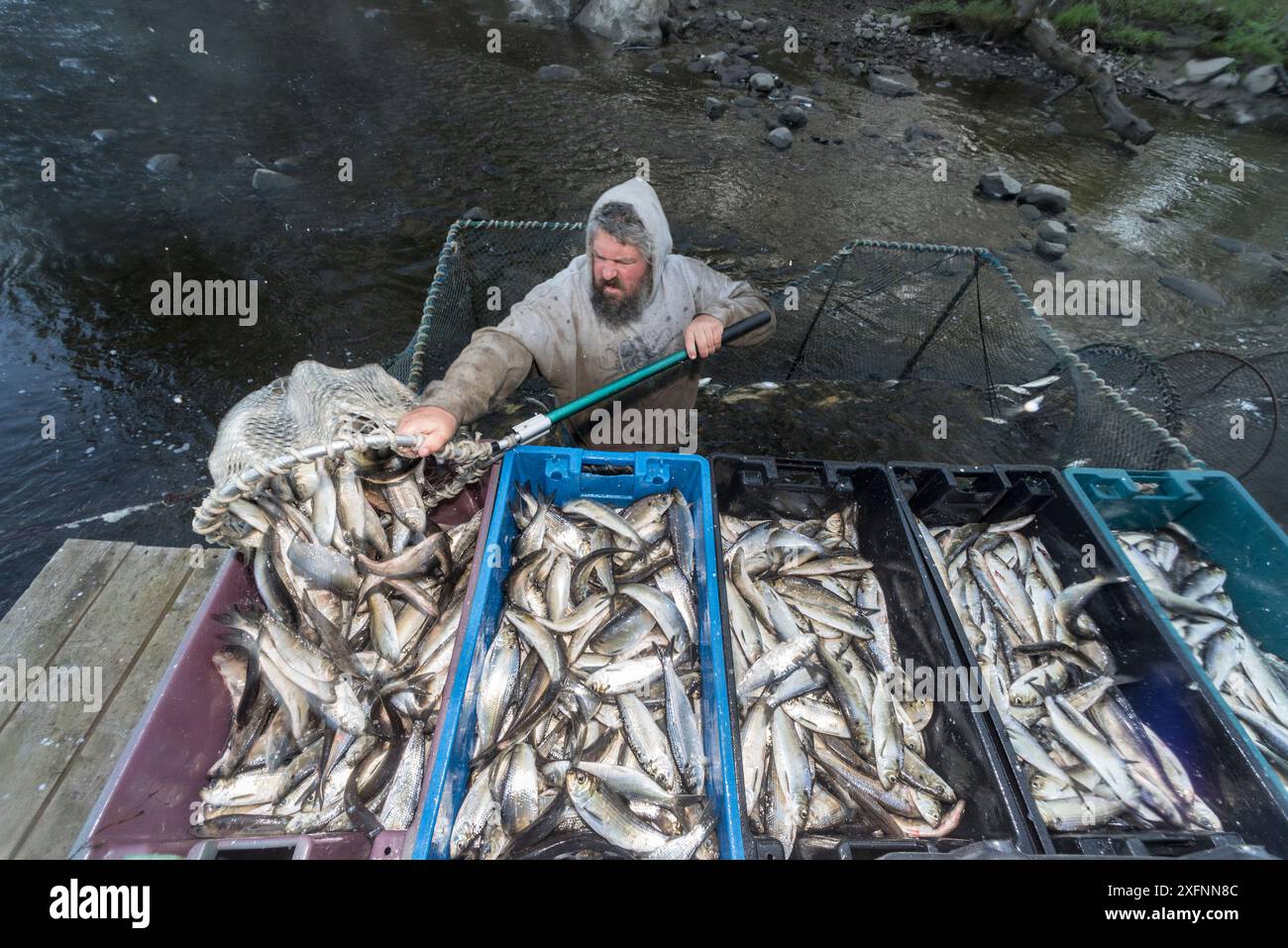 Crates netting hi-res stock photography and images - Alamy