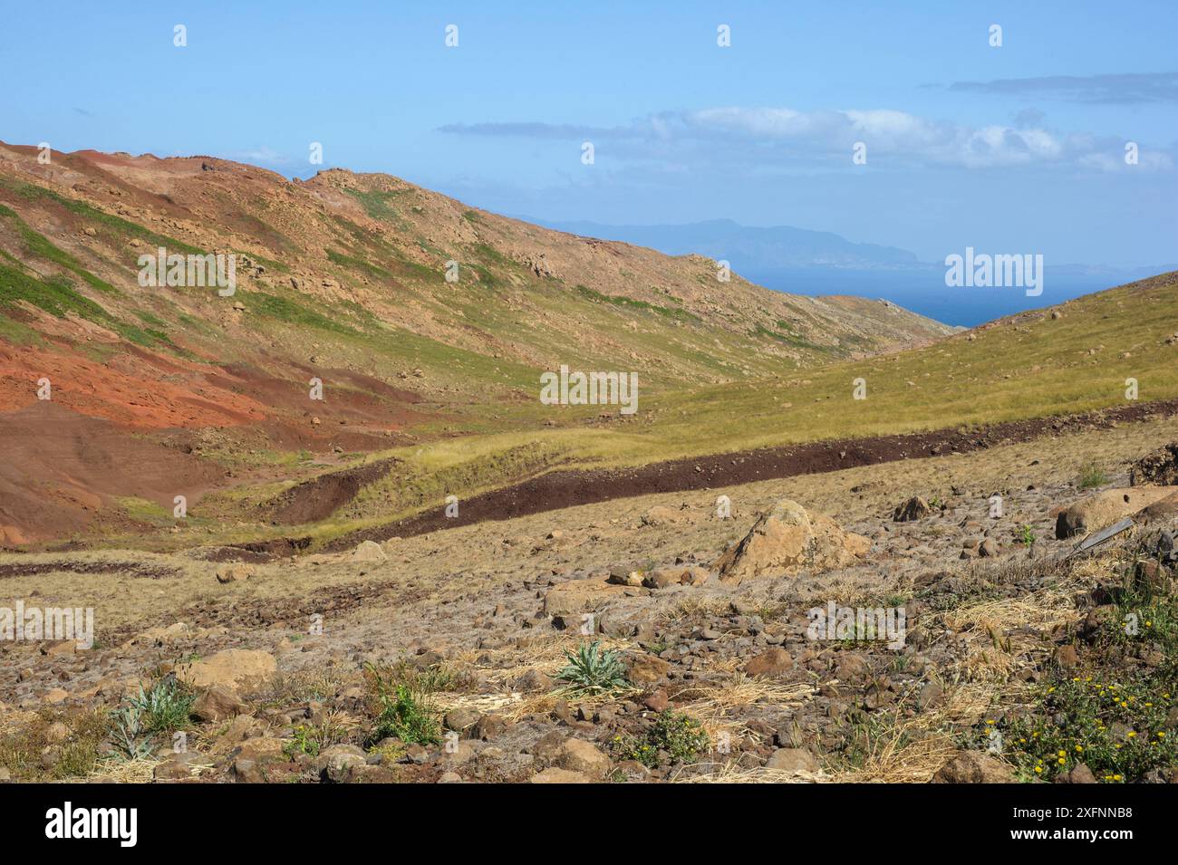 View of Castanheira valley partly covered with Bulbous canary-grass ...