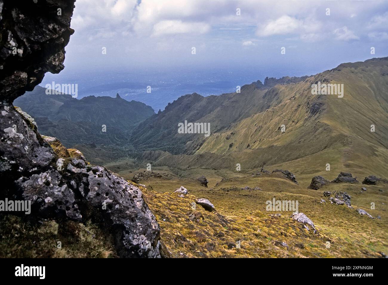 Gough and inaccessible islands hi-res stock photography and images - Alamy