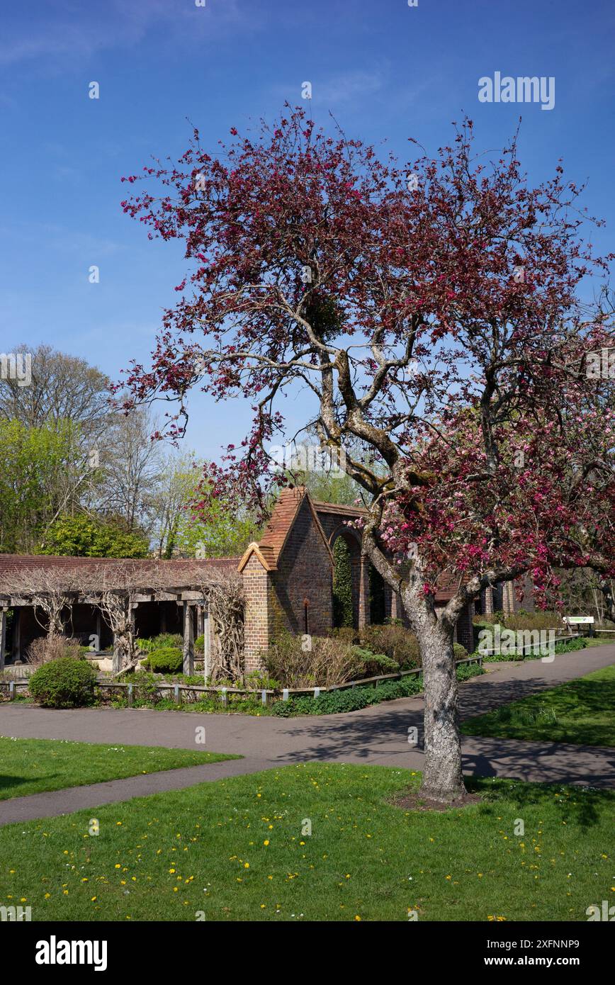 Godalming town, Surrey, England. Town in the Surrey Hills home to ...