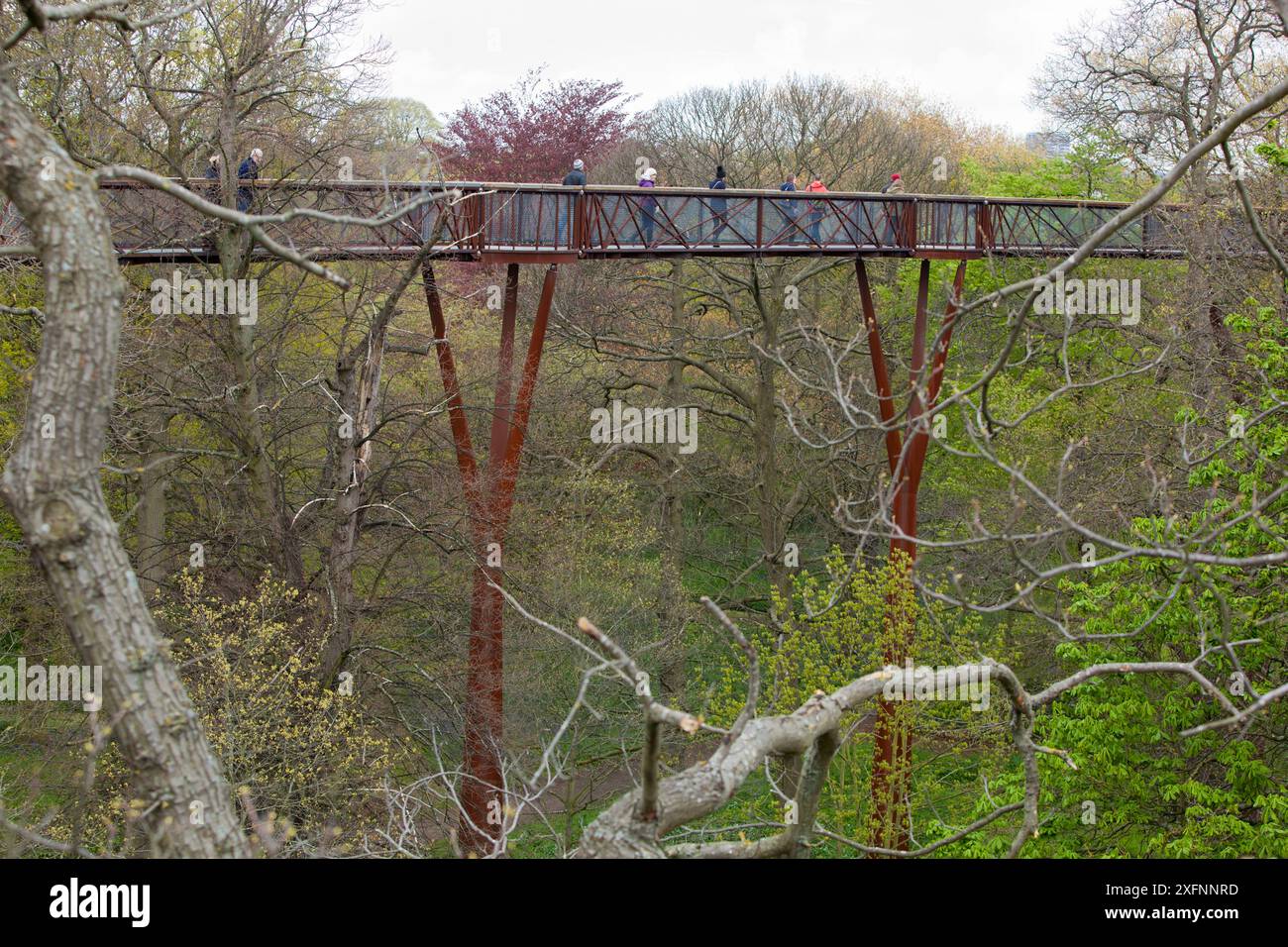 Treetop walkway, Kew Gardens, London, England, UK, April 2016 Stock ...