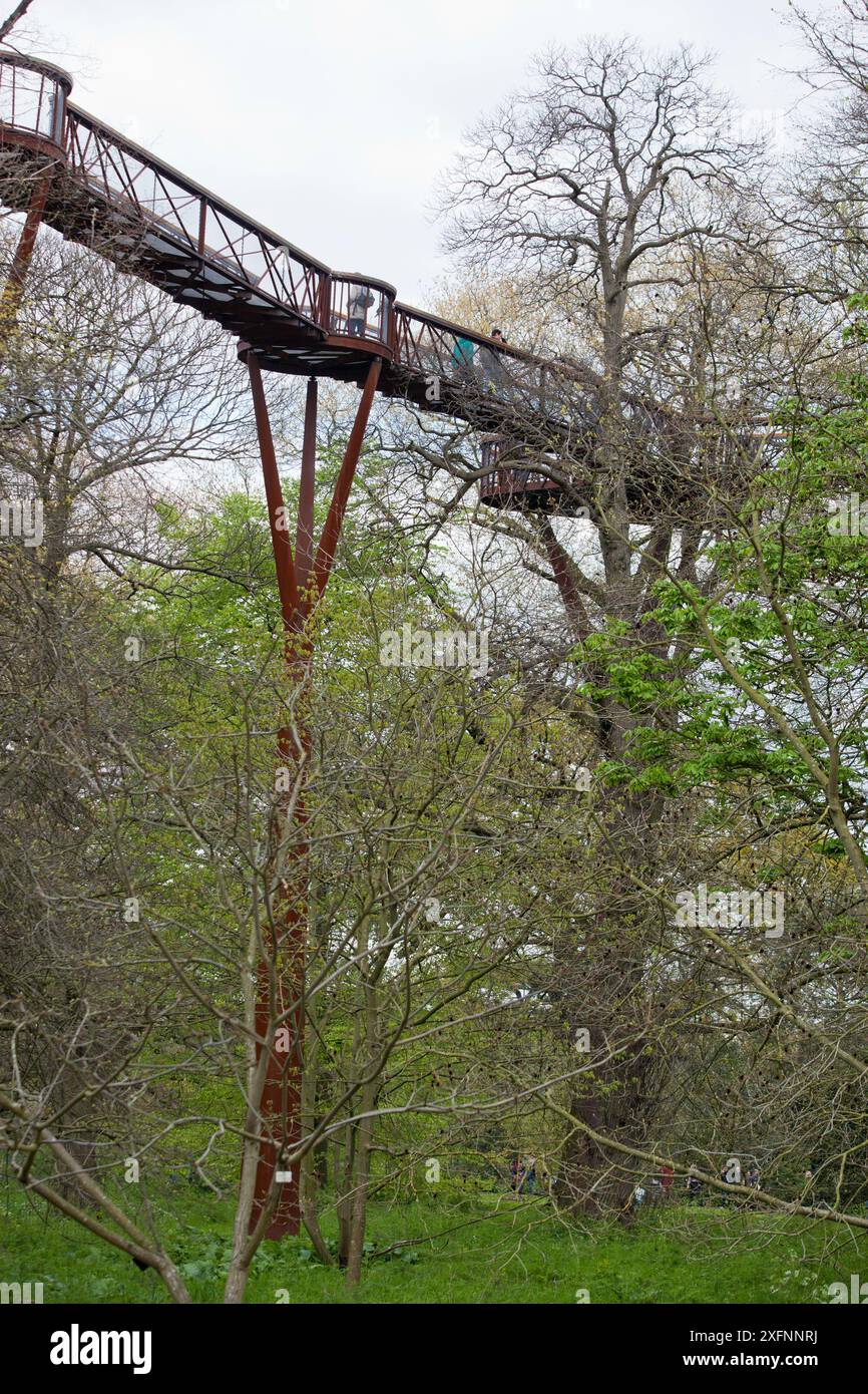 Treetop walkway, Kew Gardens, London, England, UK, April 2016 Stock ...