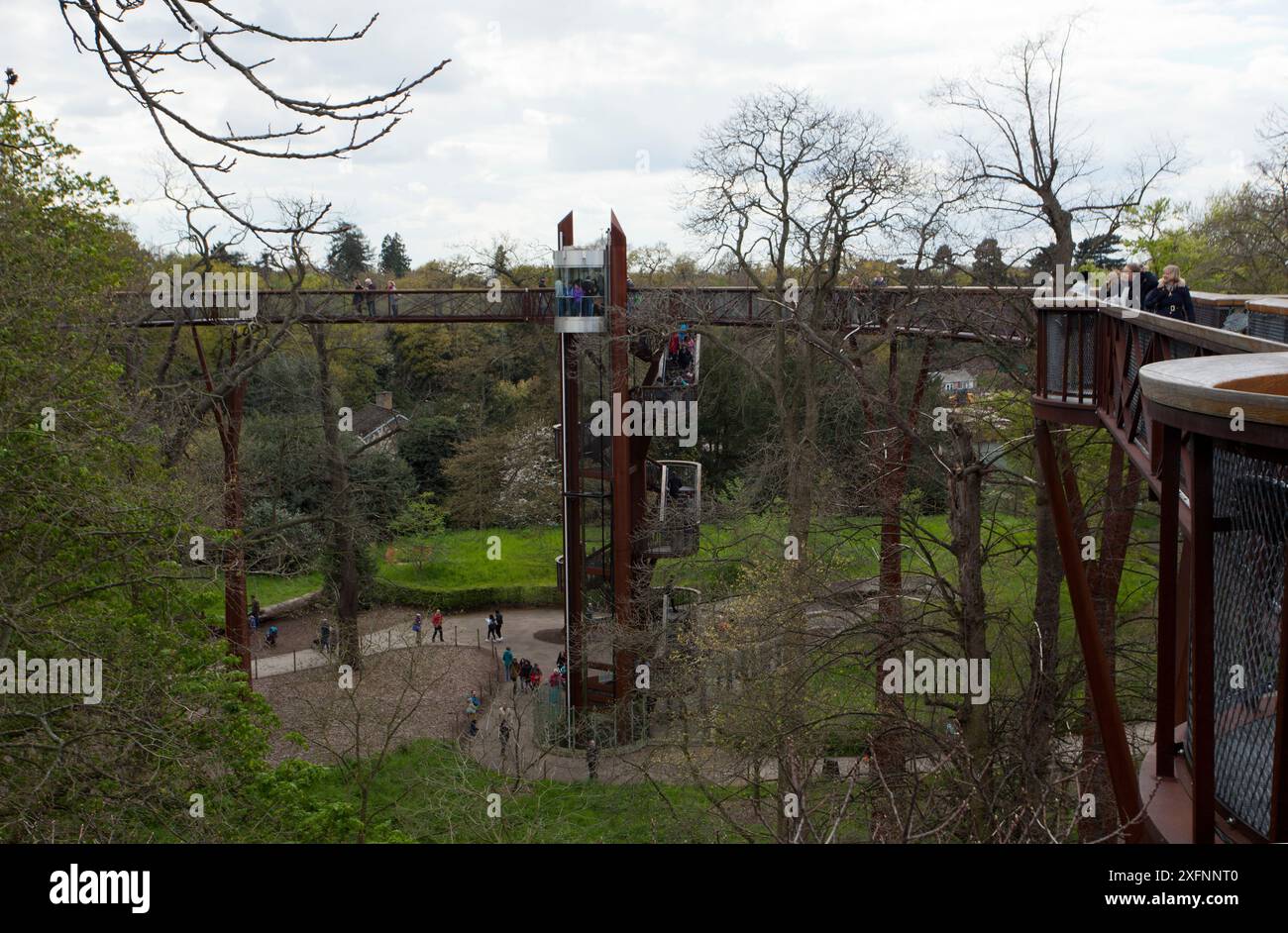 Treetop walkway, Kew Gardens, London, England, UK, April 2016 Stock ...