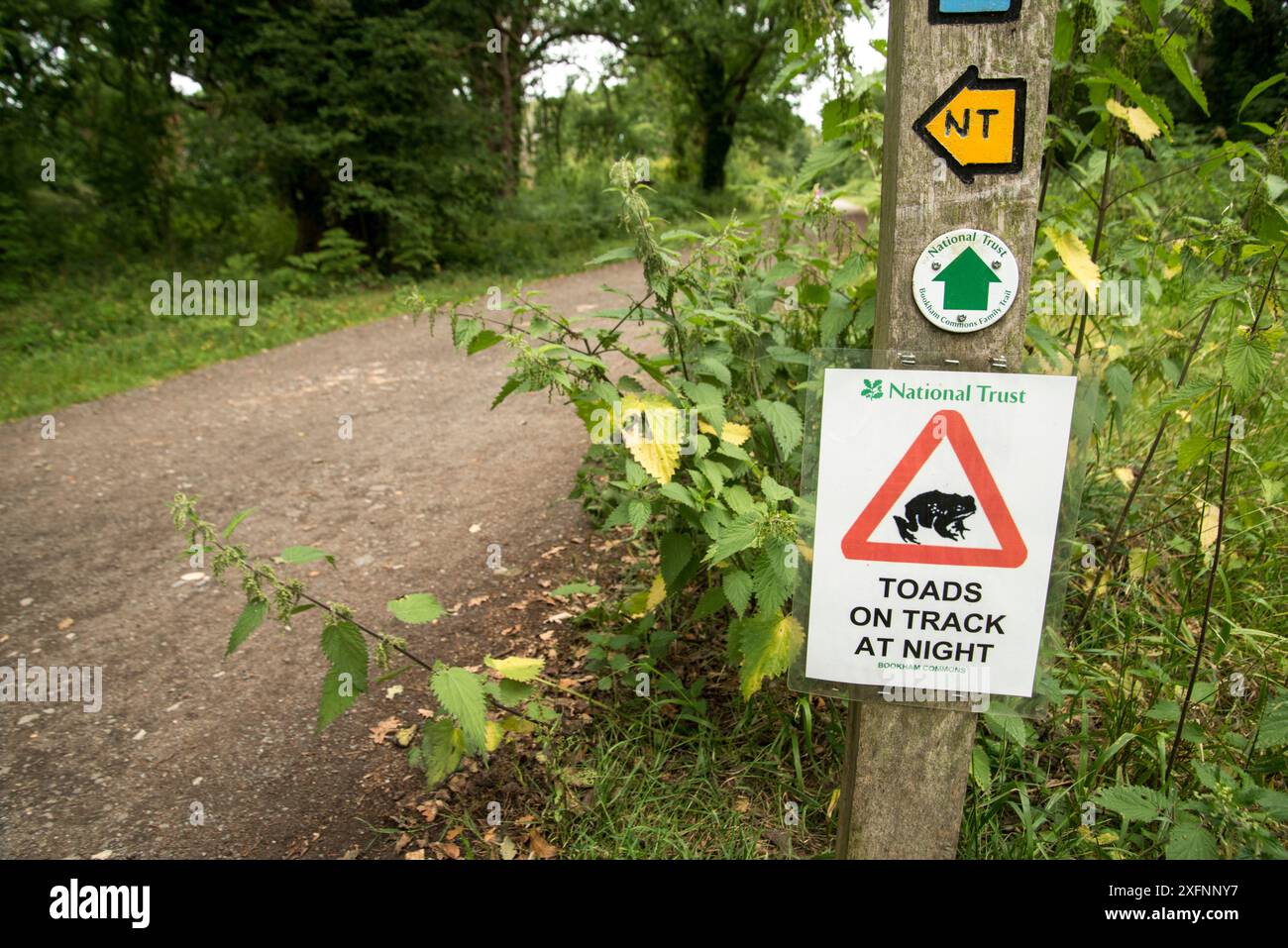 Erected animal hi-res stock photography and images - Alamy